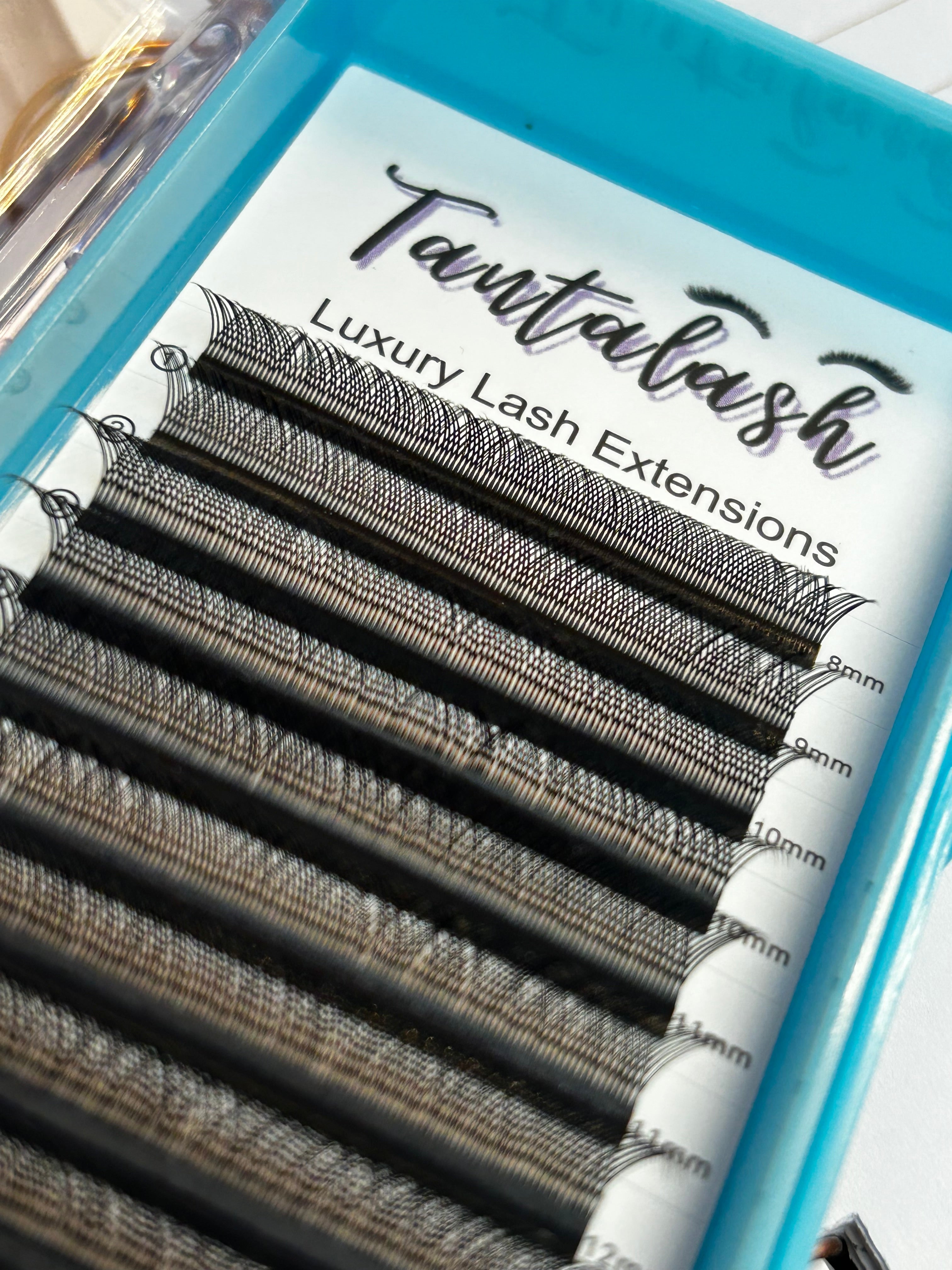 YY lash trays – Tantalash