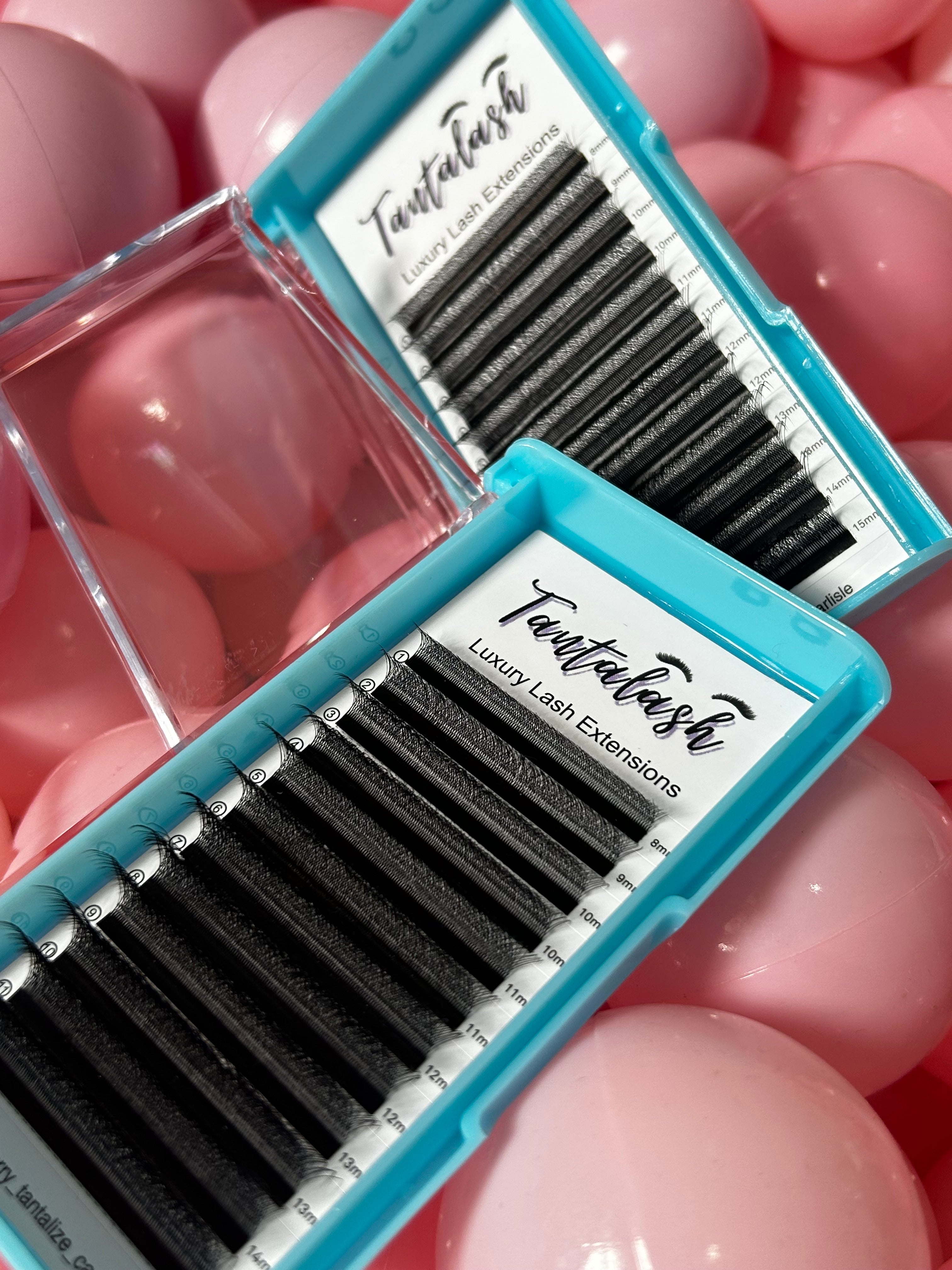 Clover lash trays – Tantalash